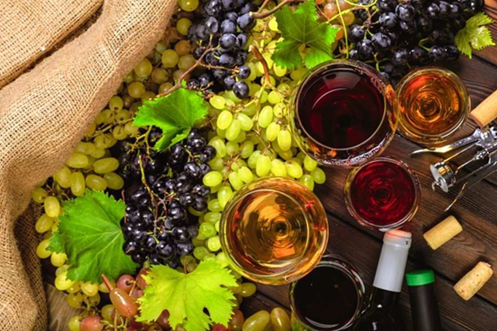 AOC, AOP, IGP : comprendre les labels autour du vin AOC, AOP, IGP : comprendre les labels autour du vin